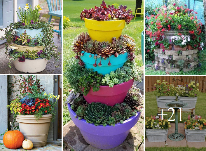 Add beauty to your garden with charming pot designs - Doktor Saati