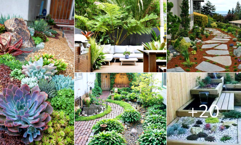 24 Landscaping Ideas Without Grass - Doktor Saati