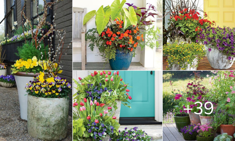 43 Beautiful Container Gardens For Spring Season - Doktor Saati